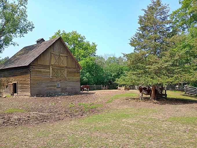 Authentic barns and working livestock prove farming was backbreaking work long before John Deere made it slightly easier.