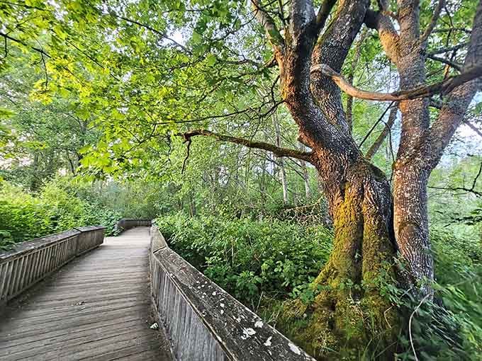 Billy Frank Jr. Nisqually National Wildlife Refuge offers boardwalk trails through wetlands where nature puts on its best show daily.