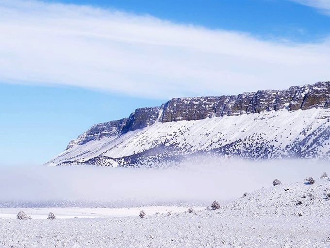 Winter transforms the outback into a snow-dusted wonderland that looks like nature's own black and white photography exhibition.