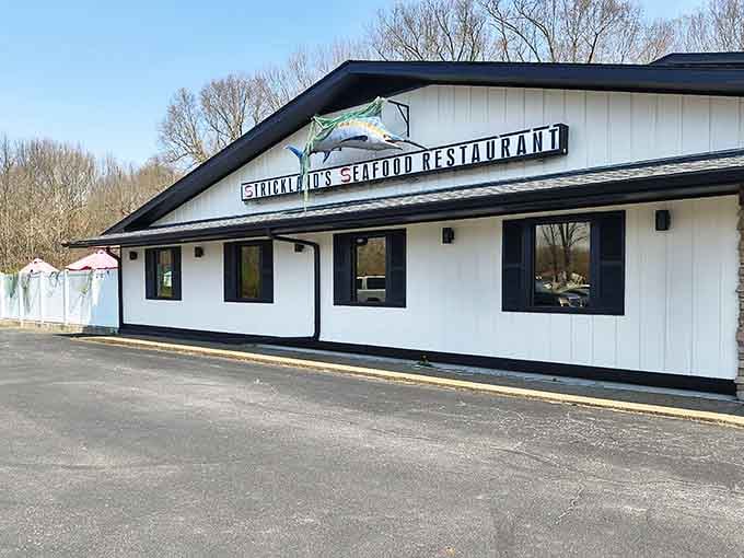 Fresh seafood in Kentucky? Absolutely, and this place serves it with pride and expertise.