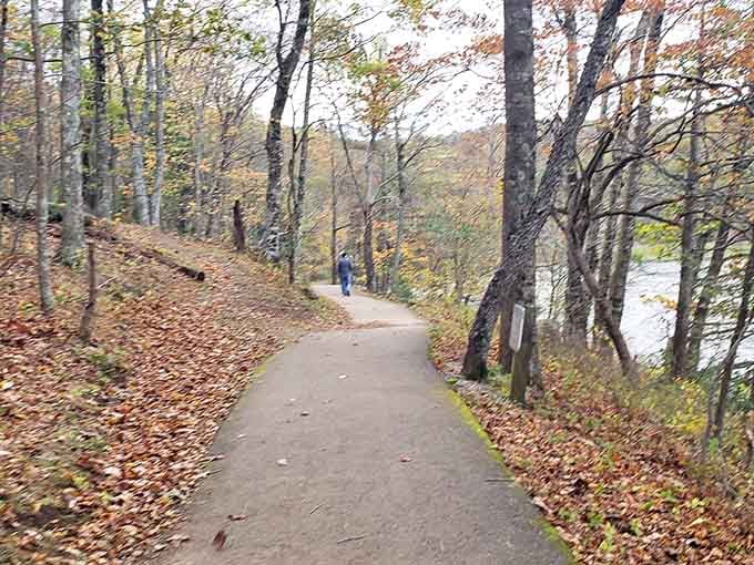 Autumn leaves carpet the paved path like nature's confetti, making even a simple walk feel like a celebration.