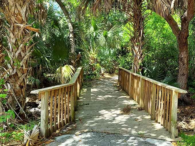 Wooden bridges through the hammock create that Indiana Jones feeling, except the only danger is forgetting your camera.