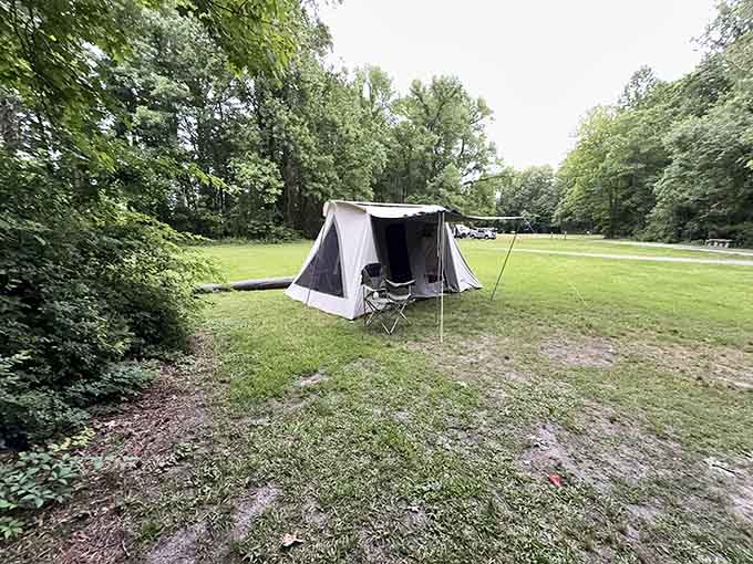 Camping here means trading your noisy neighbors for the peaceful sounds of the forest at night.