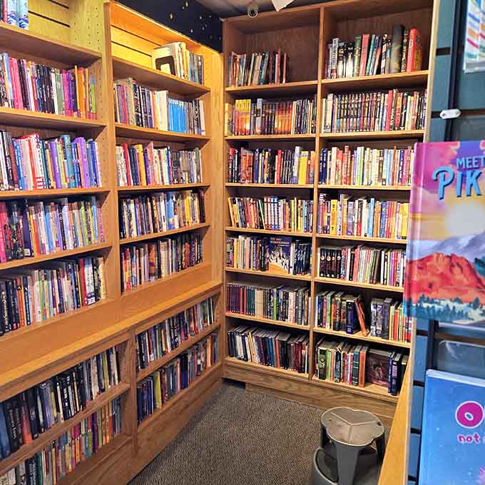 Floor-to-ceiling shelves packed with possibilities, each spine promising an escape you can hold in your hands.