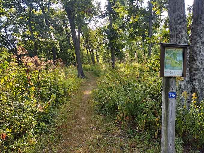Wooded trails offer shade and solitude, perfect for contemplating life's mysteries or just enjoying the quiet.