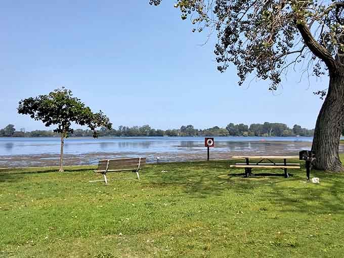 Picnic tables overlooking the bay offer front-row seats to nature's show, no reservation required for this dining experience.