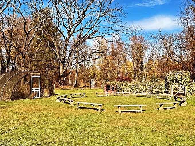 Open-air gathering spots perfect for picnics, contemplation, or pretending you're in a nature documentary.