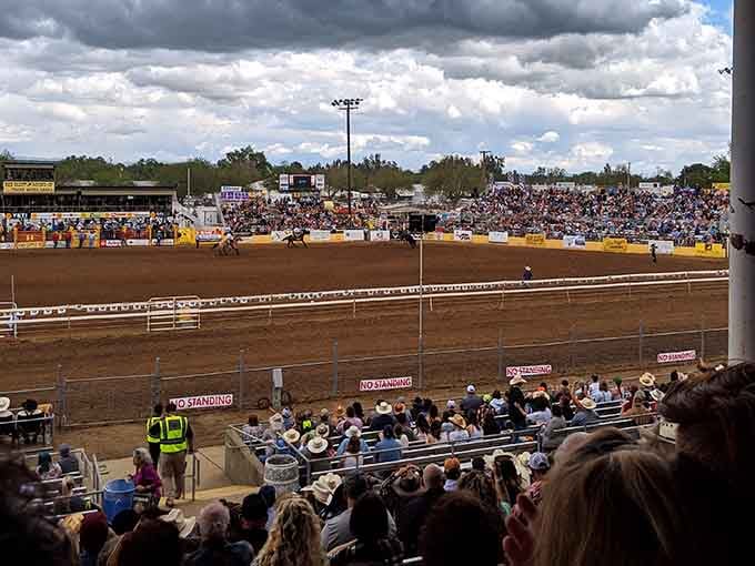 The Tehama District Fairgrounds hosts rodeos that draw crowds who actually know the difference between broncs and bulls.