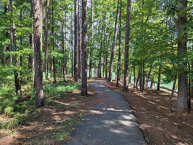 Paved trails mean you can enjoy nature without twisting an ankle before lunch on day one.