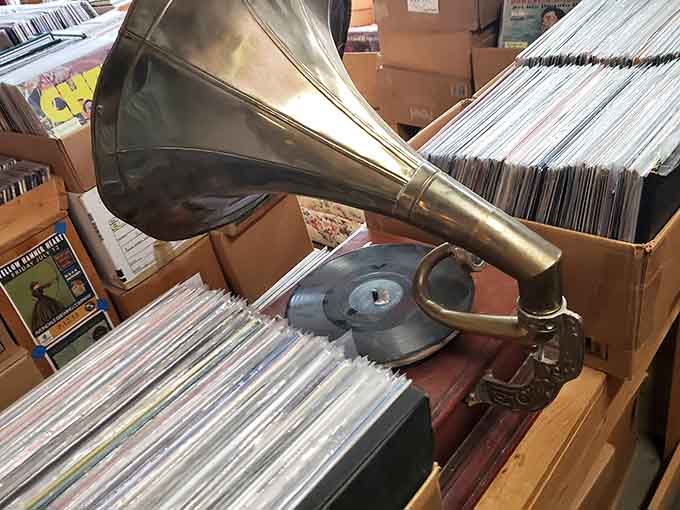 An antique gramophone stands guard over the vinyl collection, reminding us where this whole beautiful obsession began decades ago.