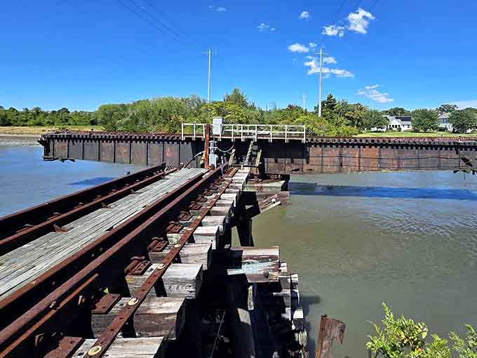 This historic swing bridge offers views worth pausing for, assuming your pedaling partner agrees to stop working.
