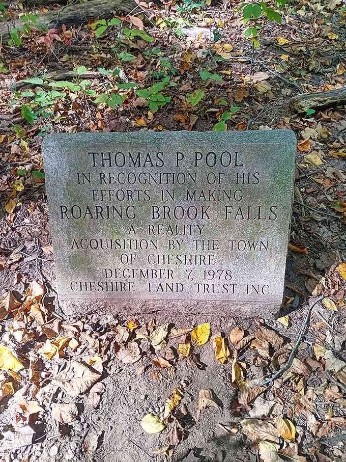 A simple stone marker tells the story of dedication, when one person's vision helped preserve this natural treasure for all.