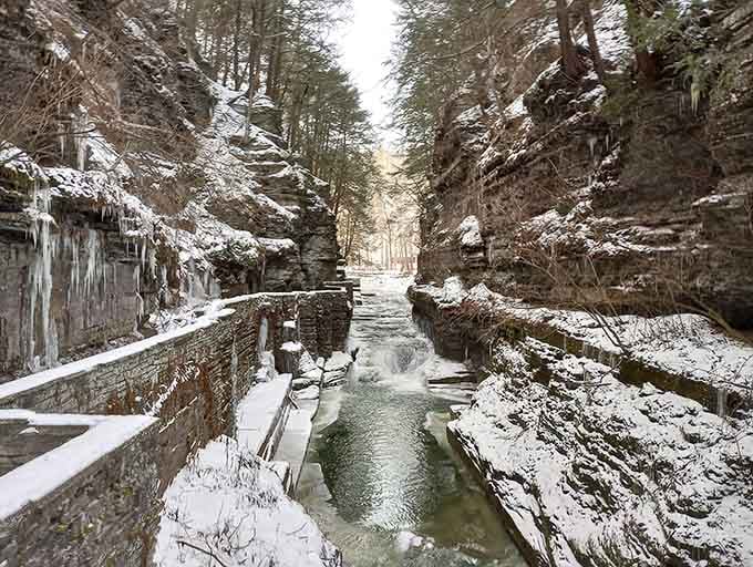 Winter turns the gorge into Narnia, with frozen waterfalls creating ice sculptures that would make Elsa jealous of upstate New York's natural artistry.