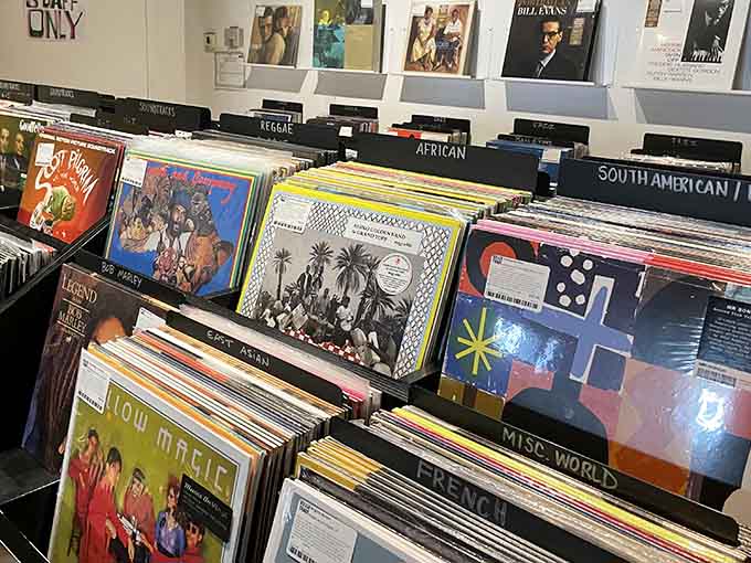 Genre labels guide you through musical territories from reggae to world music like a well-organized treasure map.