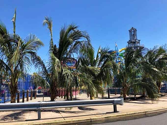 Palm trees providing that tropical illusion so convincing you'll forget you're still technically in New Jersey.