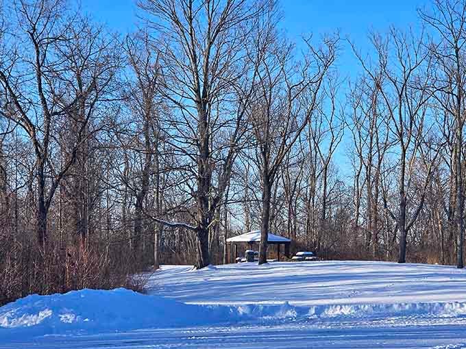 Winter transforms the park into a Hallmark movie set, minus the predictable romance plot and hot cocoa commercials.