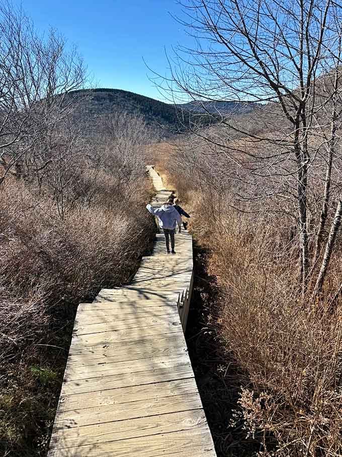 Summer greens paint the hillside as the trail winds upward, promising views that'll make your camera very happy.