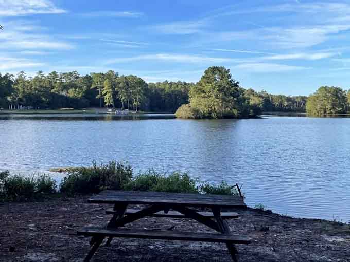 A small island sits peacefully in the lake, looking like it's been social distancing since before it was trendy.