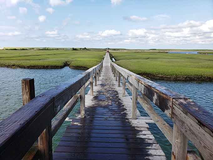 The wooden boardwalk stretches across the marsh, inviting you to leave your worries behind and embrace your inner nature photographer.
