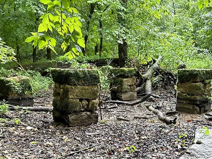 Crumbling foundations peek through the undergrowth, whispering stories about the families who once called this ghost town home sweet home.