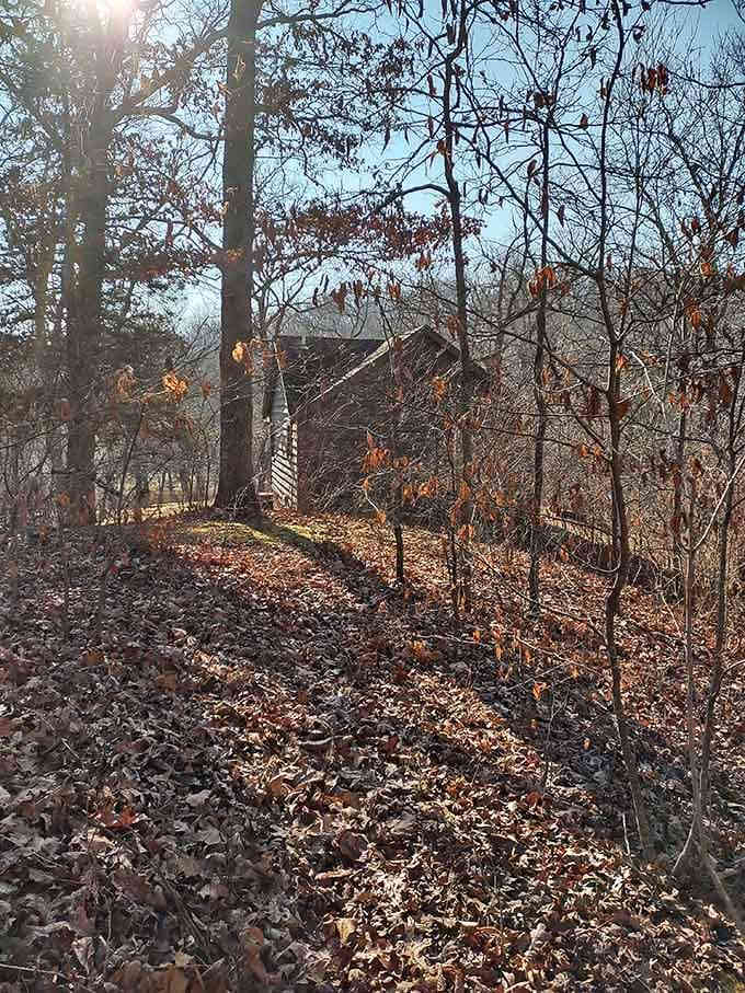 A rustic cabin perched on the hillside, blending into the autumn landscape like it grew there.
