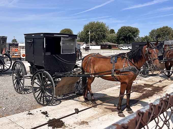 This Amish buggy waits patiently, proving that the best GPS system sometimes involves actual horsepower and zero satellites.