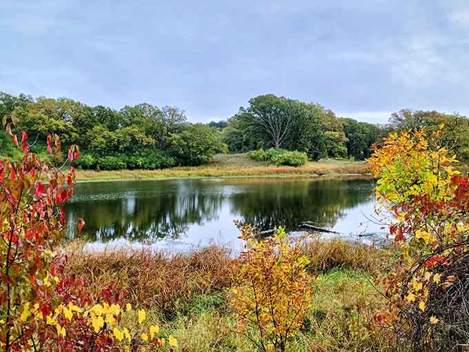 Fall foliage framing a quiet lake is Minnesota's way of reminding you why you live here through the winters.