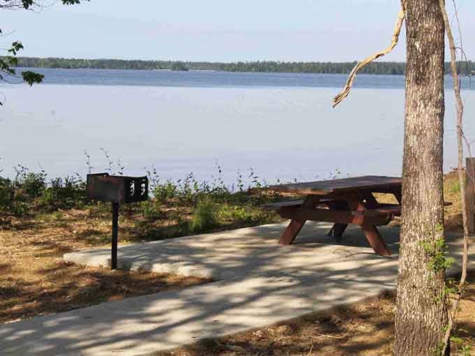 Your picnic spot comes with complimentary lake views and the kind of peace money can't buy.
