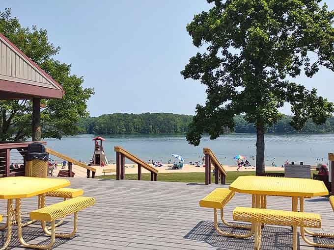 Yellow picnic tables offer front-row seats to nature's show, lunch included but views are complimentary.