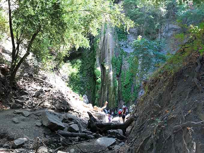 Nojoqui Falls offers a dramatic natural escape just minutes from town, where California's wild side meets Danish civilization perfectly.