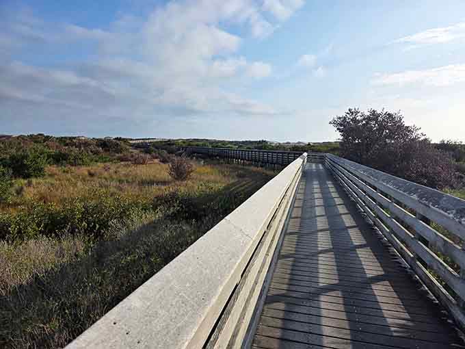 Anastasia State Park's boardwalk leads to natural beauty that doesn't require a filter to look absolutely stunning.