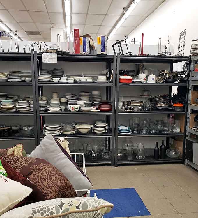 Shelves of dishes and glassware standing at attention, ready to replace your chipped plates for pocket change prices.