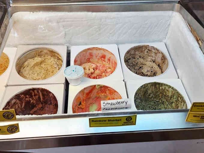 Rainbow sherbet, strawberry cheesecake, and mint chocolate chip walk into an ice cream case, paradise ensues.