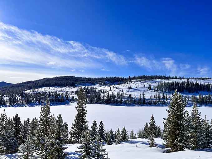 Winter transforms State Forest State Park into a snow-covered wonderland perfect for Nordic skiing and peaceful solitude.