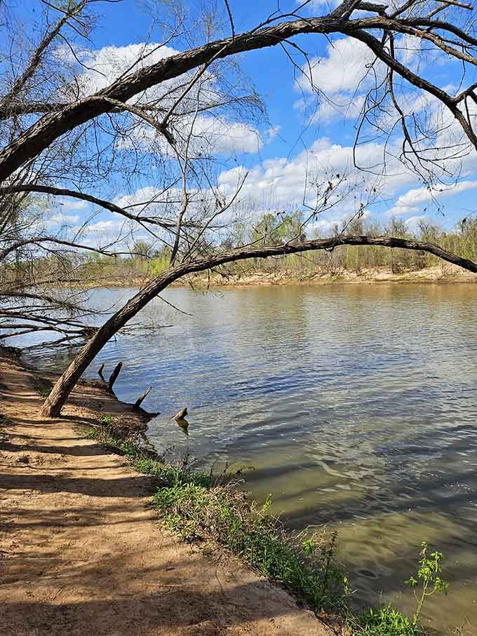 The Brazos River flows past with that distinctive Texas color, proving that beauty comes in all shades of brown.