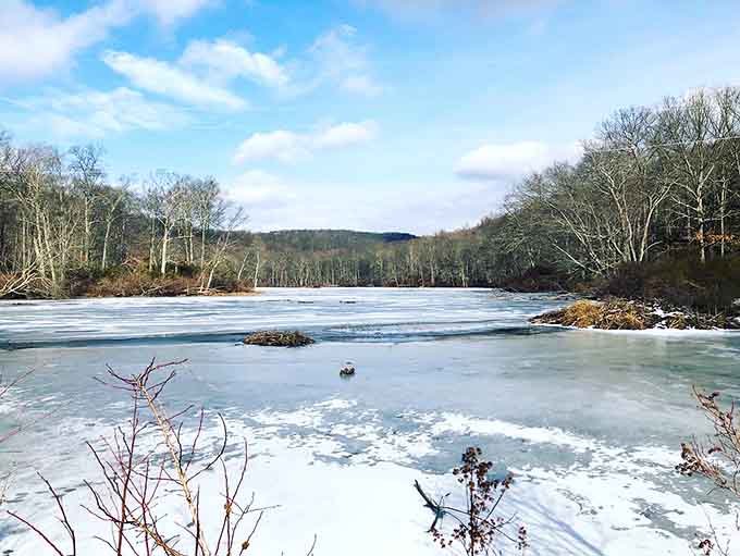Winter transforms the landscape into a frozen wonderland that looks like Narnia, minus the talking lions and Turkish delight.