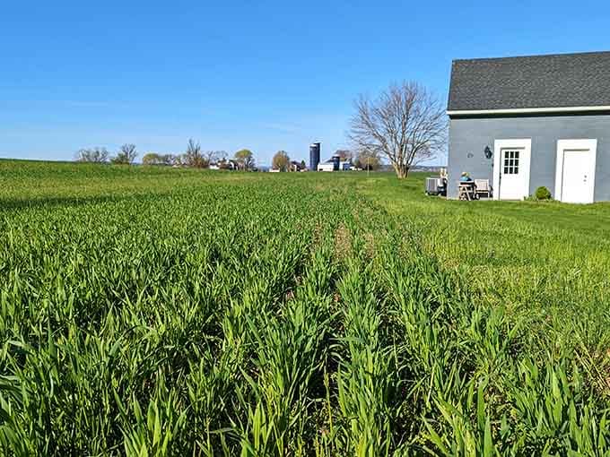 Green fields so lush, they make your lawn look like it's given up on life entirely.