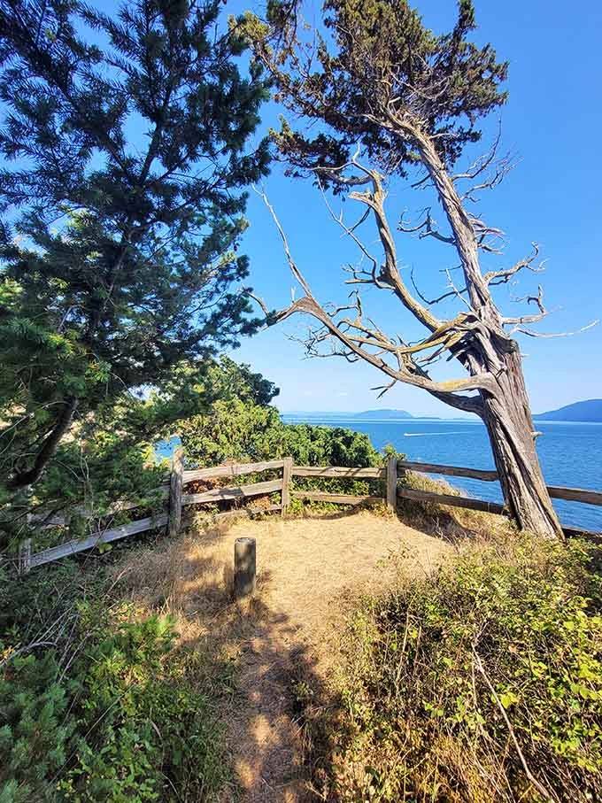 Trail overlooks frame views that make you wonder why anyone bothers with screensavers when this exists in real life.