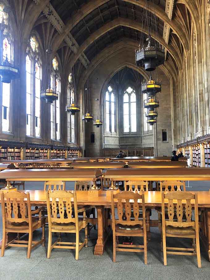 Study tables where even calculus homework feels like you're solving ancient mysteries in a castle.