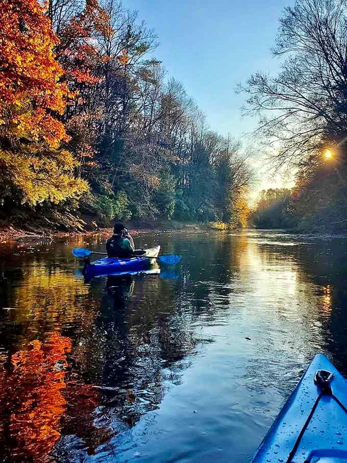 Paddling into golden hour light that transforms an ordinary creek into something worthy of a postcard.