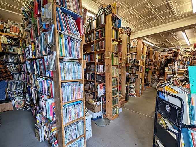 These towering shelves hold more stories than your entire neighborhood combined, and they're all patiently waiting for readers.