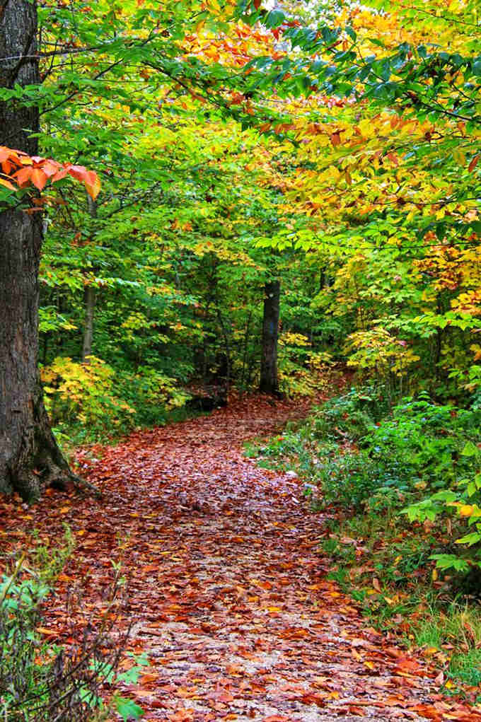 Fall foliage meets falling water in a color combination that puts your favorite Instagram filter to shame completely.