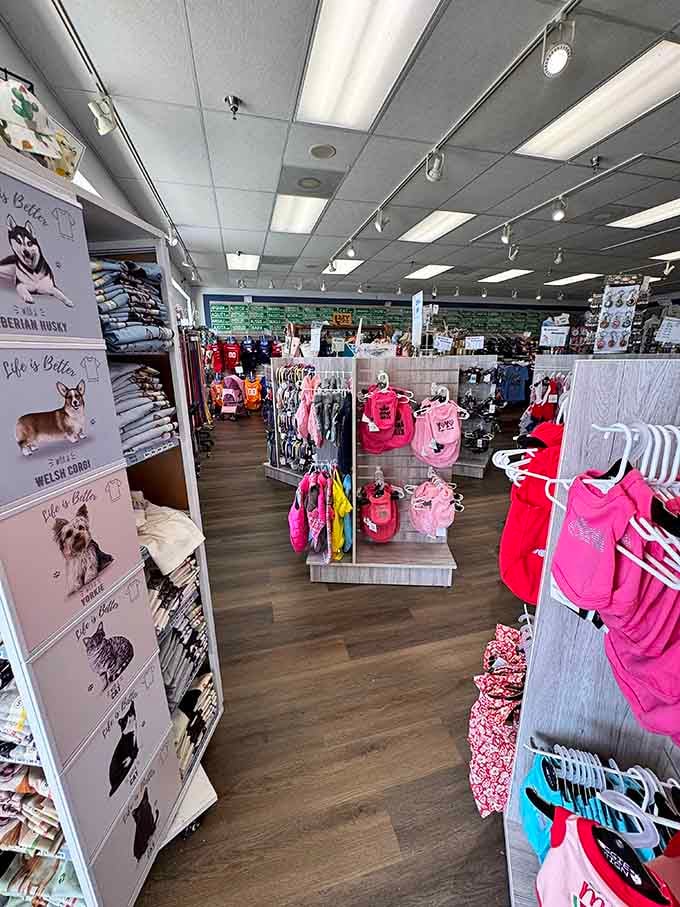 Your furry friends deserve fashion too, and this boutique proves that pet style doesn't require a trust fund.