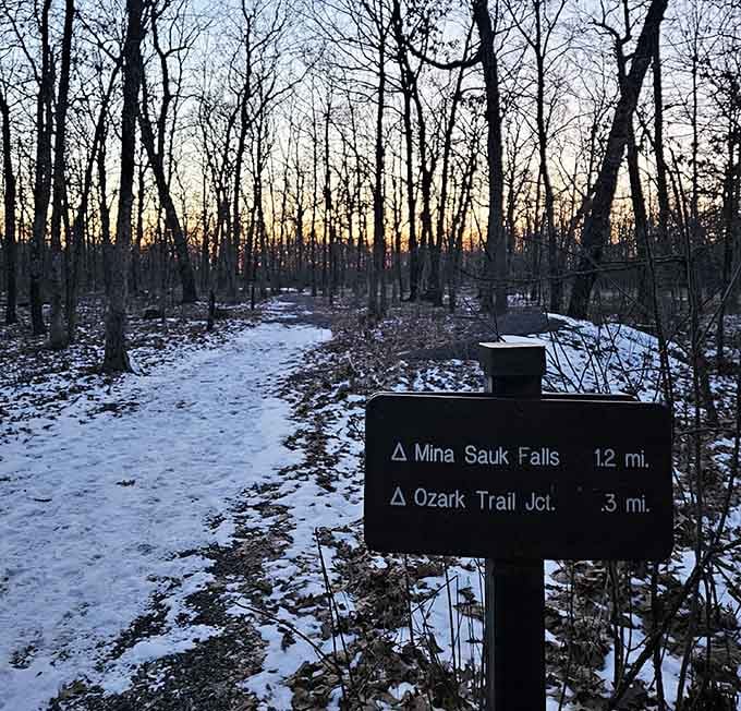 Winter transforms the landscape into a quiet wonderland where snow and silence create their own magic together.