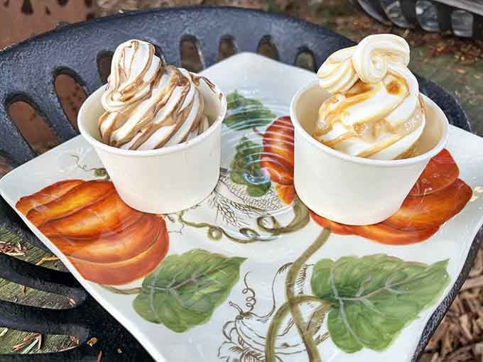 Two soft serves with caramel drizzle proving that some decisions in life are actually pretty easy.