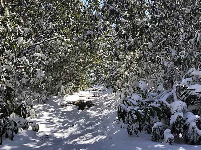 Winter transforms the trail into a snowy wonderland that looks straight out of Narnia's wardrobe.