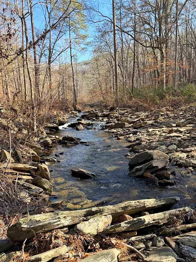 Chinnabee Creek dances over smooth stones, singing a song that's been playing for thousands of years.