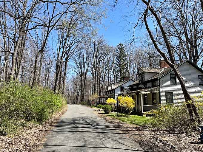 This peaceful paved road leads you deeper into history, one slightly eerie step at a time.