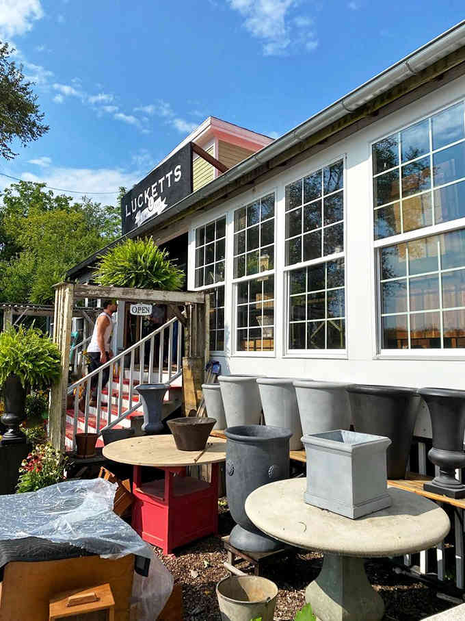 Garden furniture and galvanized planters waiting outside like patient guests hoping to join your backyard party.