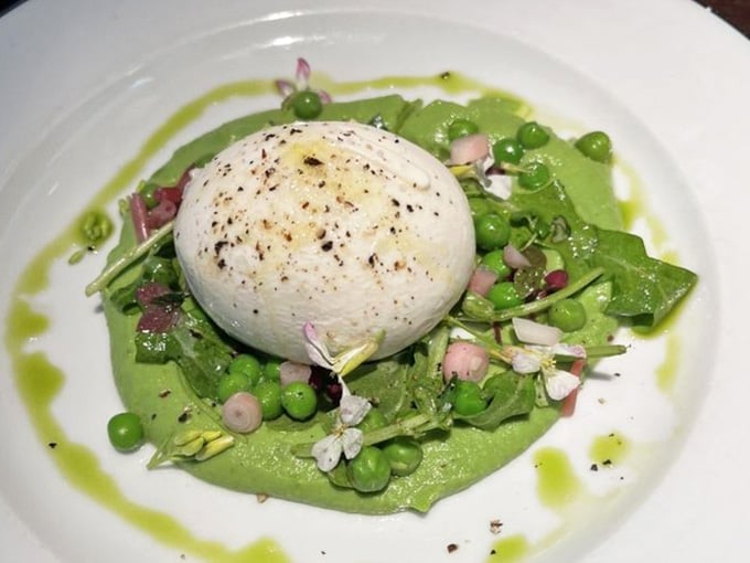 Burrata so creamy it practically melts on contact, surrounded by greens that actually taste like something worth eating.
